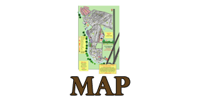 Tallpines Campground - Camping